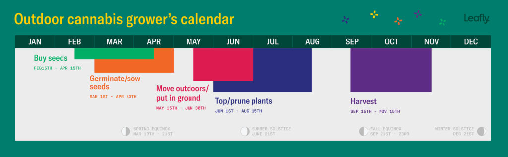 Leafly’s outdoor cannabis grower’s calendar | The Programmers Life