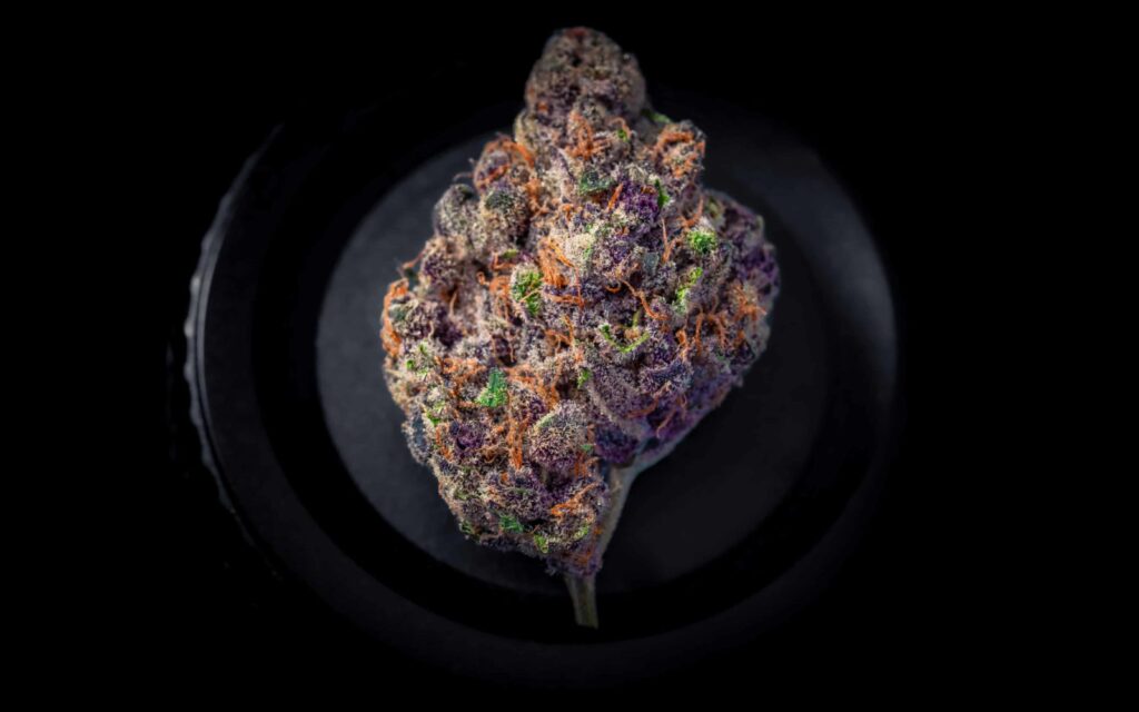 The Ultimate Newbie’s Guide To Marijuana | The Programmers Life